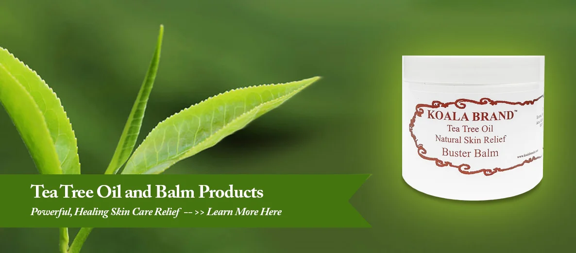 Koala Brand Co. | Eucalyptus, Tea Tree, Lavender Essential Oils